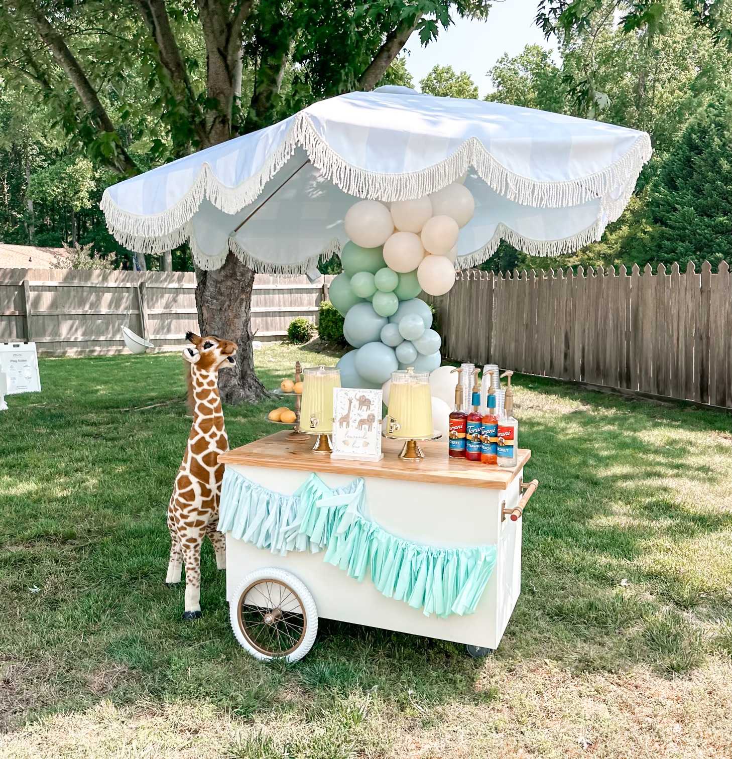 Party Cart - Mini Play | Kid's Party Rentals